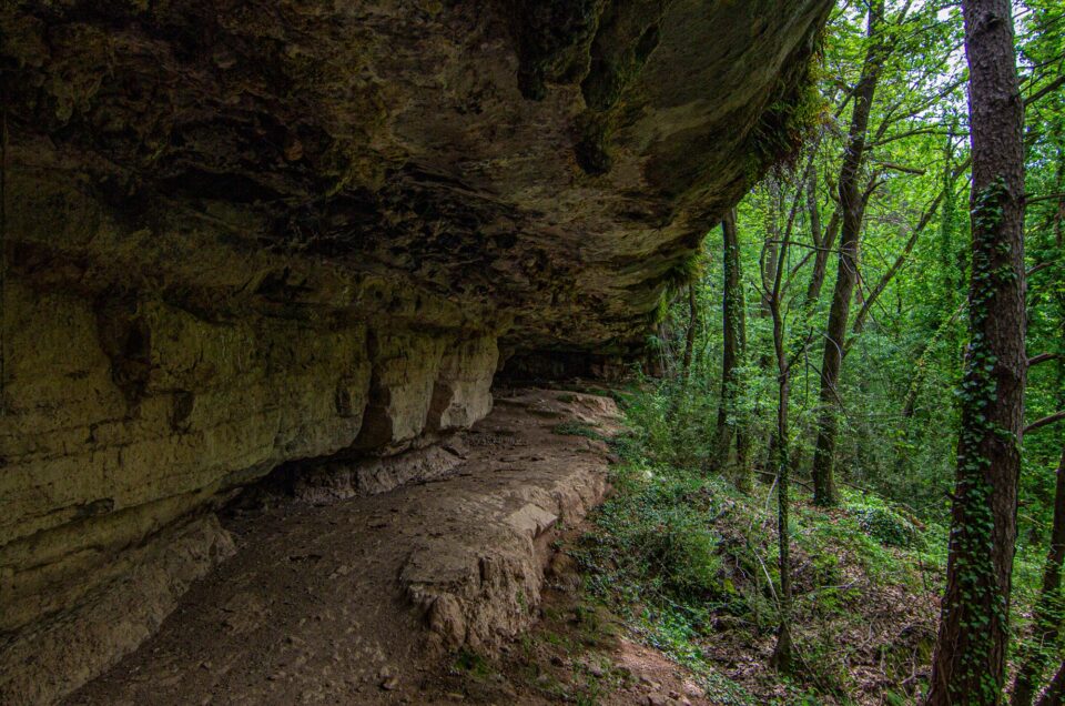 Balmes | Turisme Lluçanès