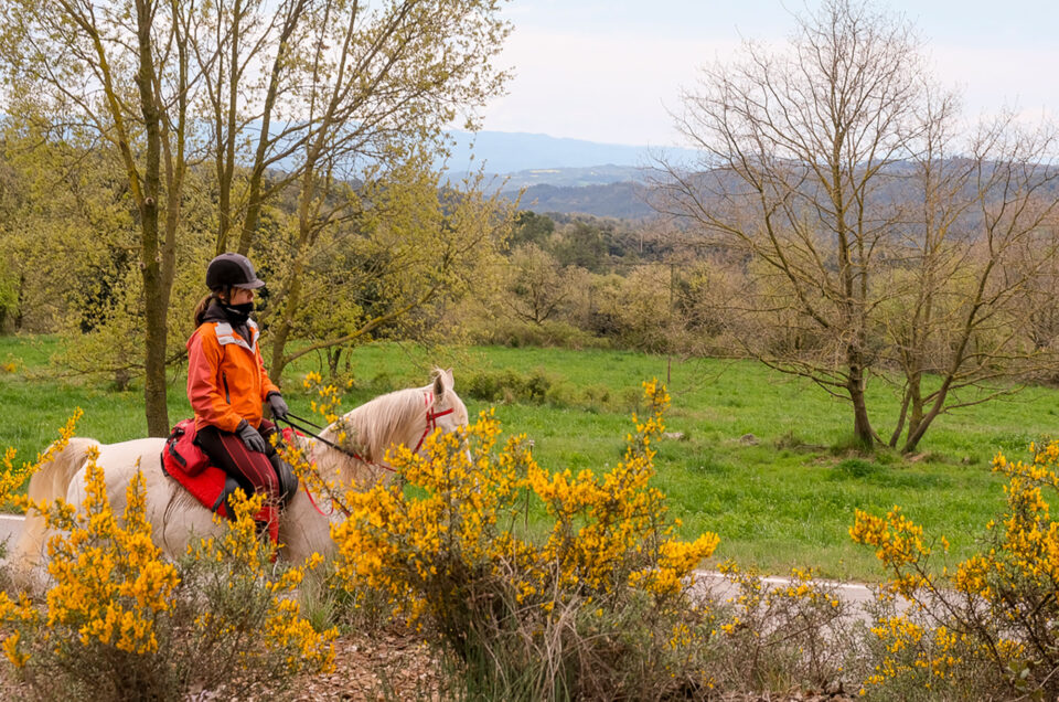 RE-02 Terra de bruixes i bandolers | Turisme Lluçanès